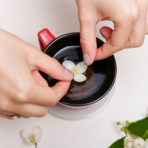 Newsletters | Stir Tea