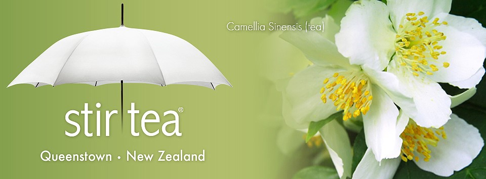 Home - Stir Tea